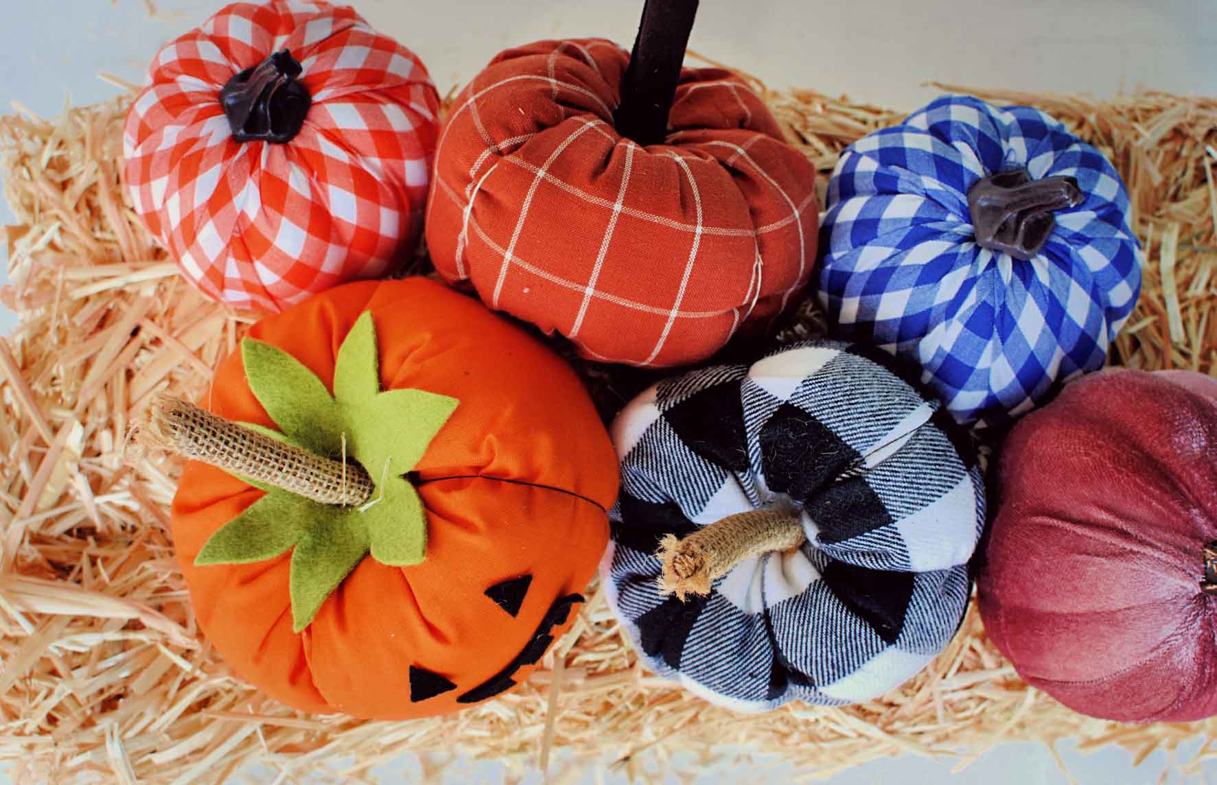 -Brother Sews Blogger